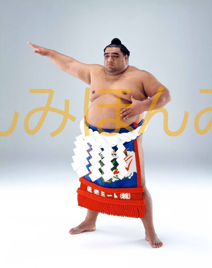 武蔵丸光洋関 優勝ミニ額 大相撲ミニ額 大相撲優勝額 平成14年5月場所 優勝 横綱 武蔵丸光洋関（11回目の優勝） ※受注生産品のため、ご ...