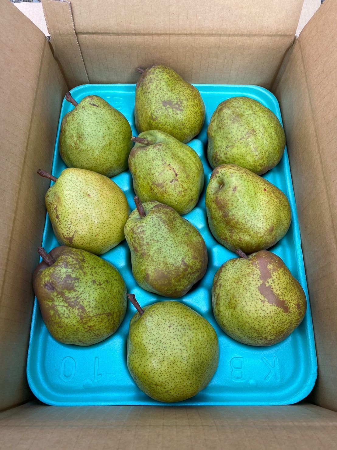 【ショップオープン特価】[B品]ラ・フランス 3kg(3Lまたは4L) - メルカリ