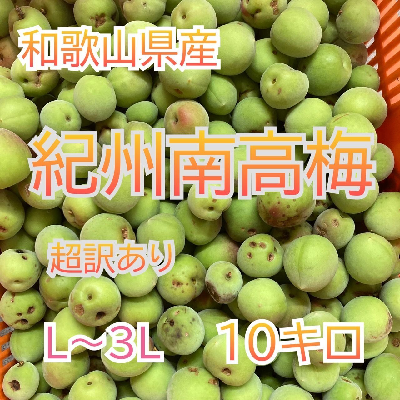 6月1日発送 ＜数量限定・超訳アリ＞和歌山県産 南高梅 サイズL~3L 10kg - メルカリ