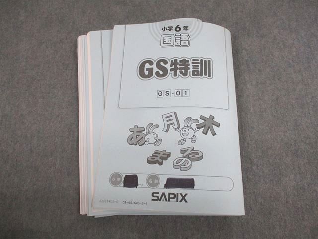 VA11-091 SAPIX 小6 国語 GS特訓 GS-01〜06 2022 計6冊 18S2D - 参考書・教材専門店 ブックスドリーム - メルカリ