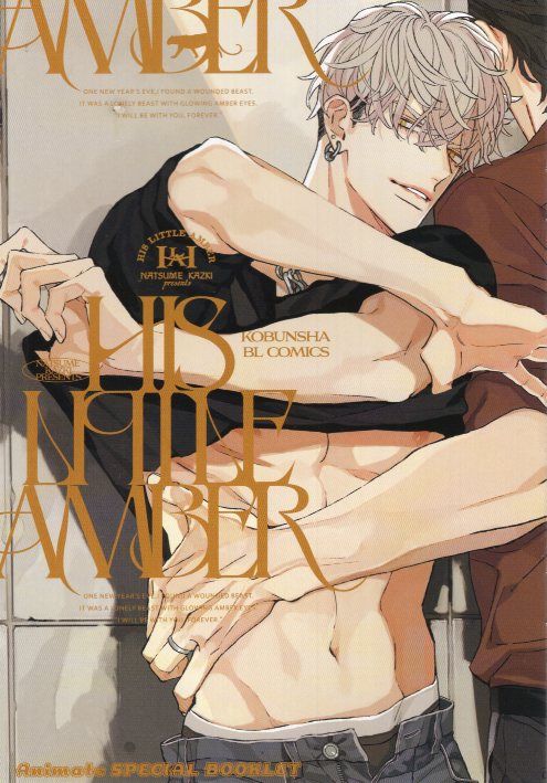 光文社 有償特典/光文社BL COMICS ナツメカズキ ヒズ・リトル・アンバー 初回限定特装版 アニメイト限定8P小冊子 - メルカリ