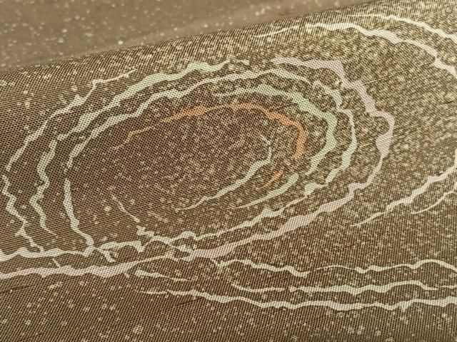 平和屋着物○石川県指定無形文化財 牛首紬 白山工房 手織り 訪問着