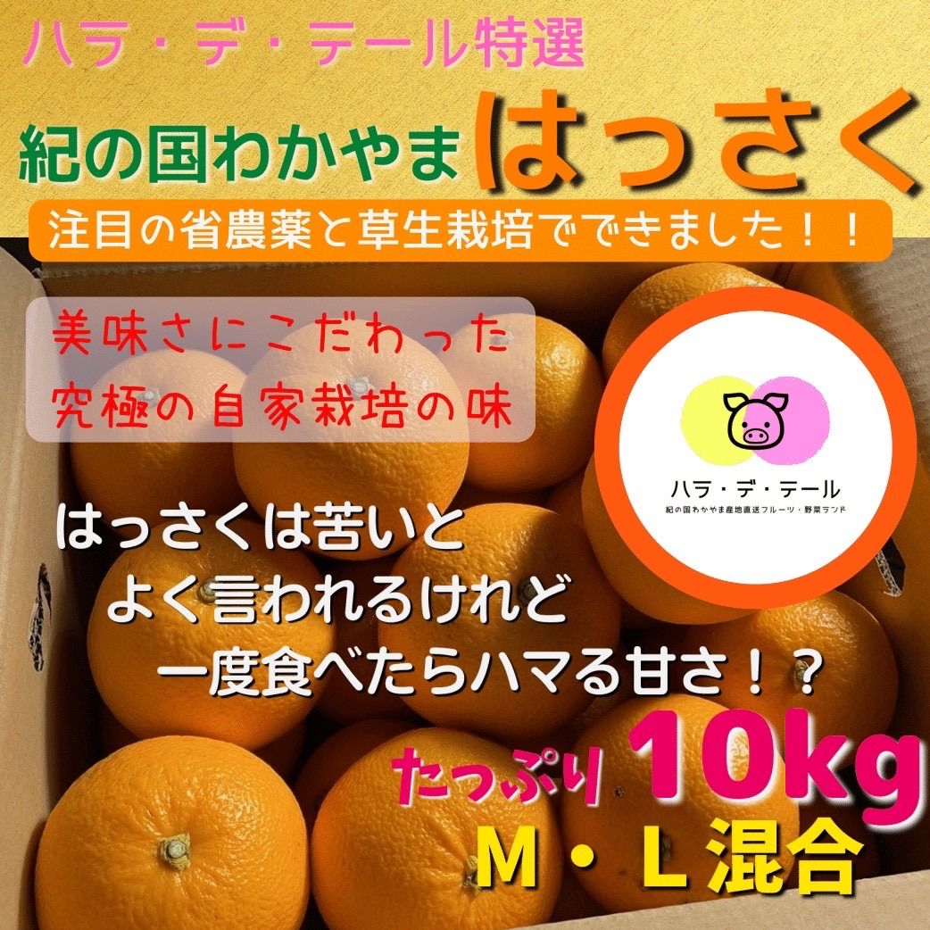 【大人気⭐️】紀の国わかやまプレミアムはっさく10kg【M・L混合美品 ️】 - メルカリ
