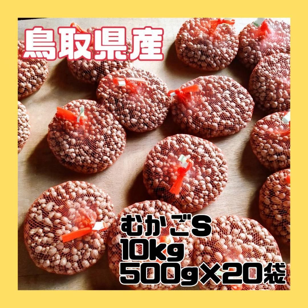 【鳥取県産】むかご 10kg（500g×20袋） Sサイズ 長芋 ねばりっこ 山芋 - メルカリ