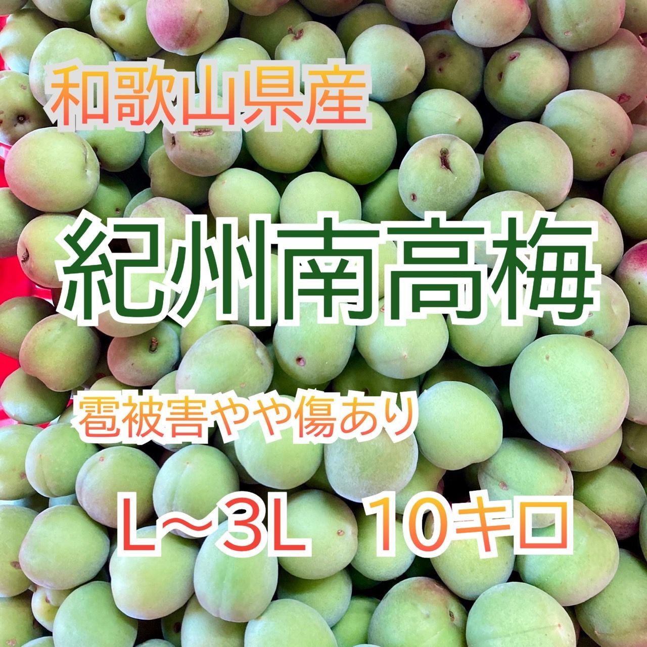 6月1日発送 ＜数量限定・訳アリ＞和歌山県産 南高梅 L～4L 10kg - メルカリ