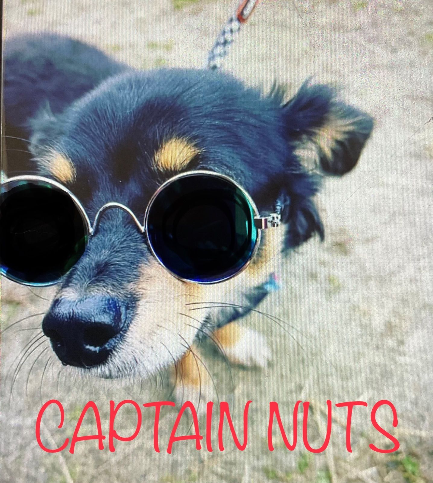 CAPTAIN NUTS - メルカリShops