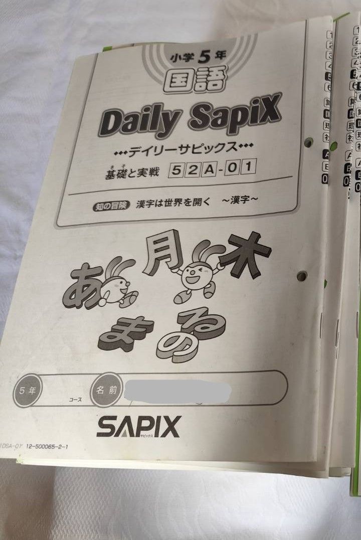 💖大人気！中学受験SAPIX 小5 国語デイリーサピックス基礎と実践 解答付！ - メルカリ