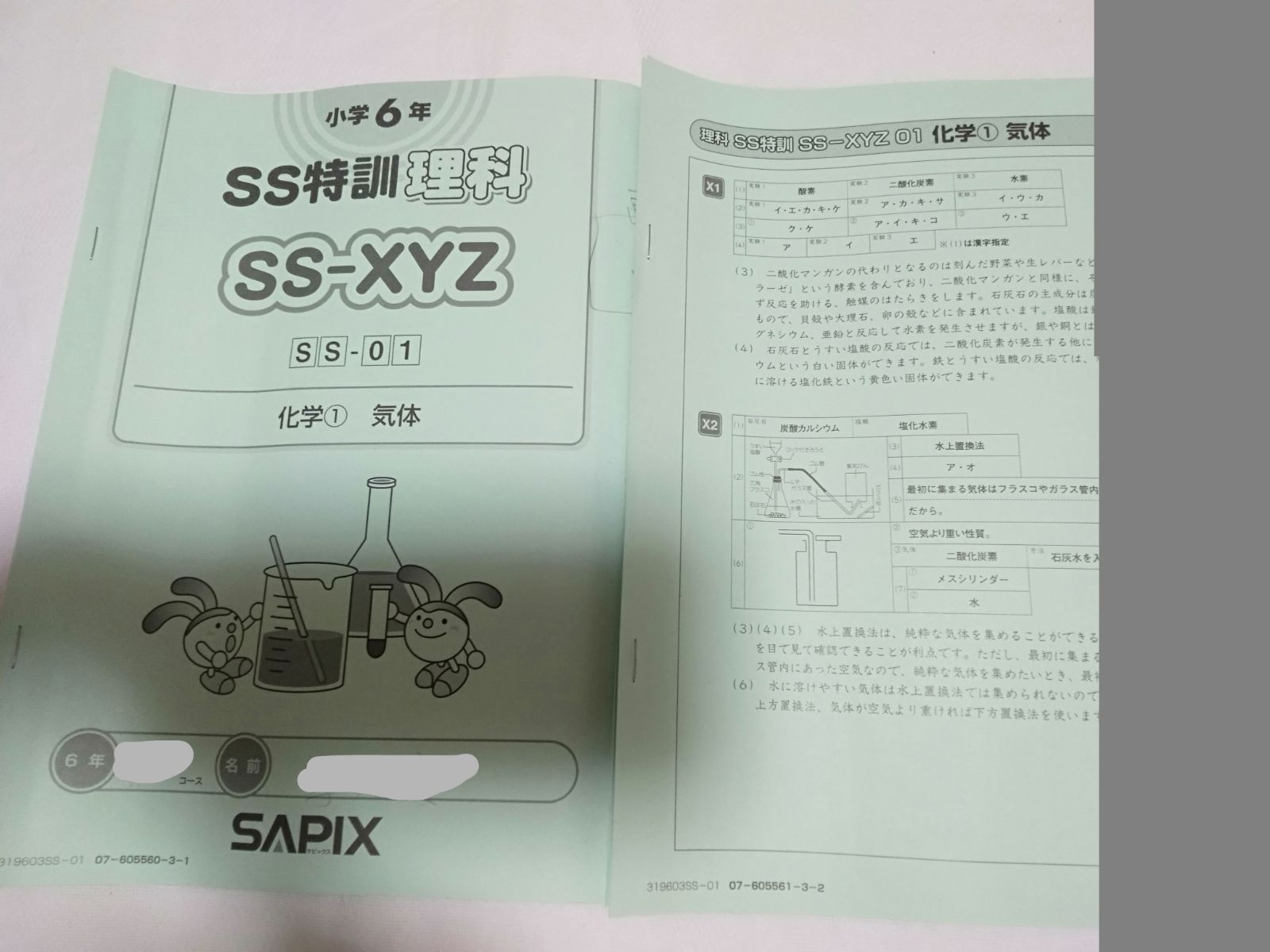 💖大人気！中学受験SAPIX 小6 理科 SS特訓1～11 解答付！ - メルカリ