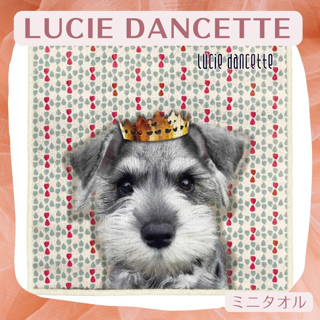 Lucie Dancette / リュシー・ダンセット ミニタオル ミニチュアシュナウザー - May Gift - メルカリ