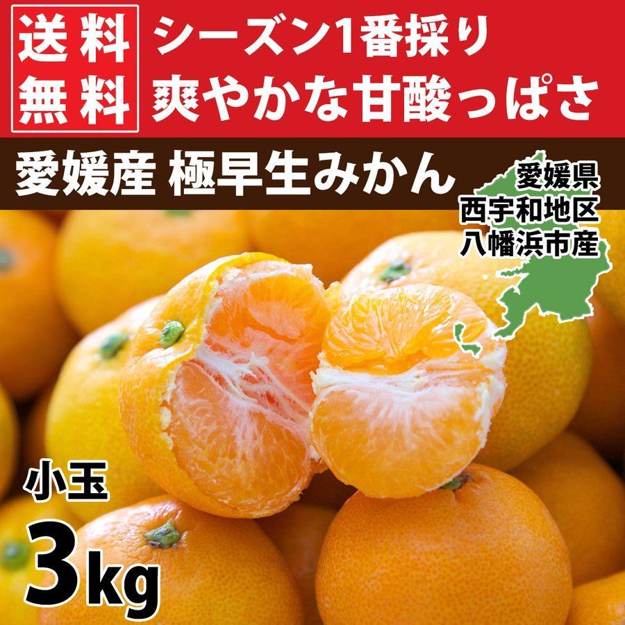 【訳あり】 愛媛県産 極早生 みかん 小玉 3kg 3S-Sサイズ限定 約30-40玉 - メルカリ