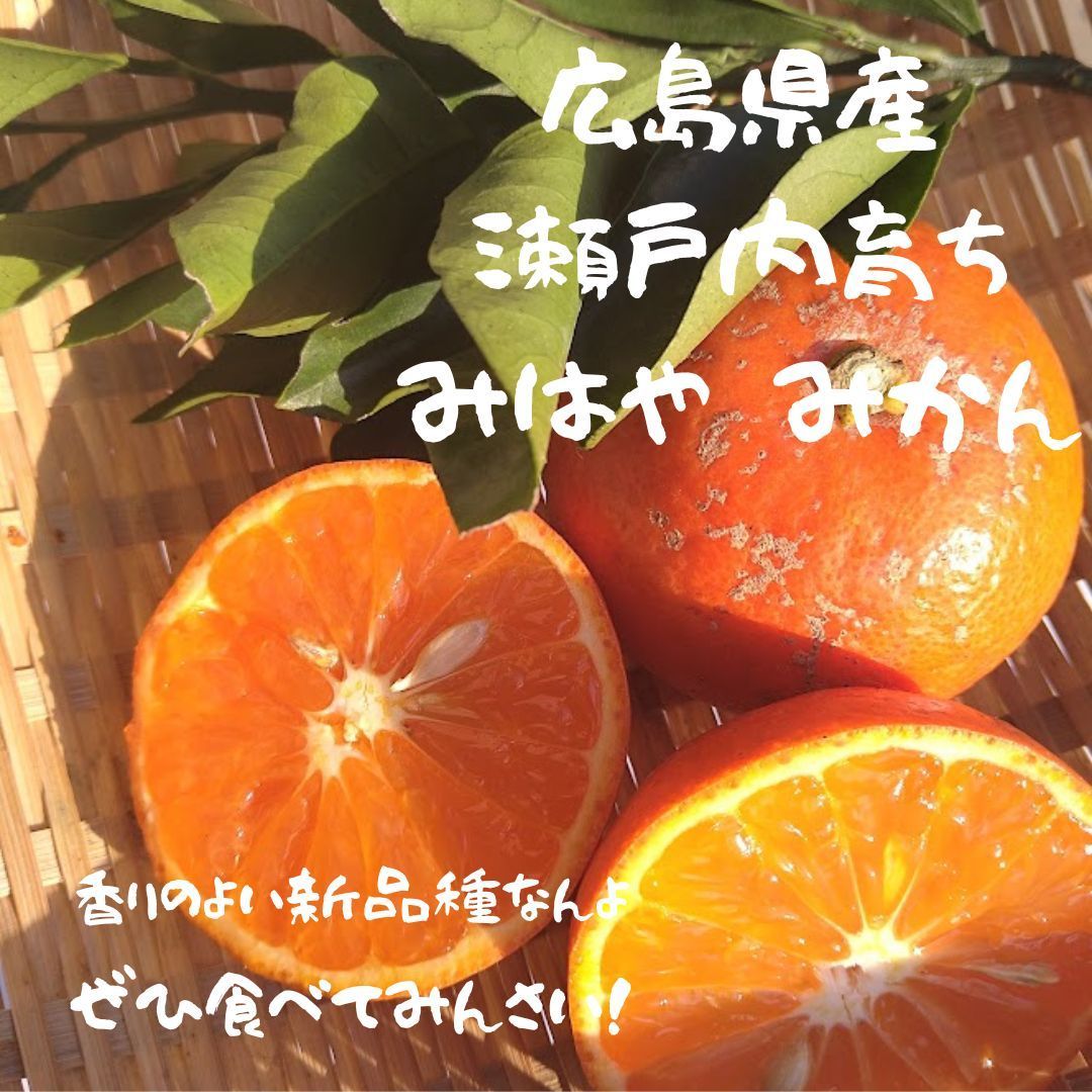 3箱限定！！ 広島県産 みはや みかん 2L～3L 3㎏ - メルカリ