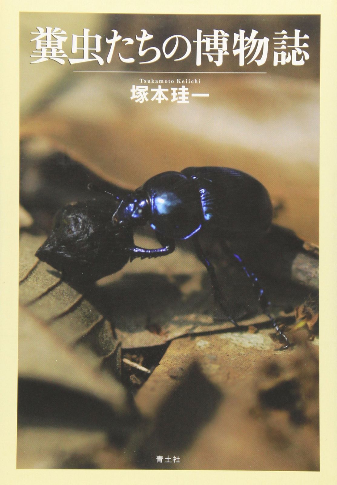 【中古本】糞虫たちの博物誌 /青土社 / /K1005-2412120-0110 /9784791763474 - メルカリ