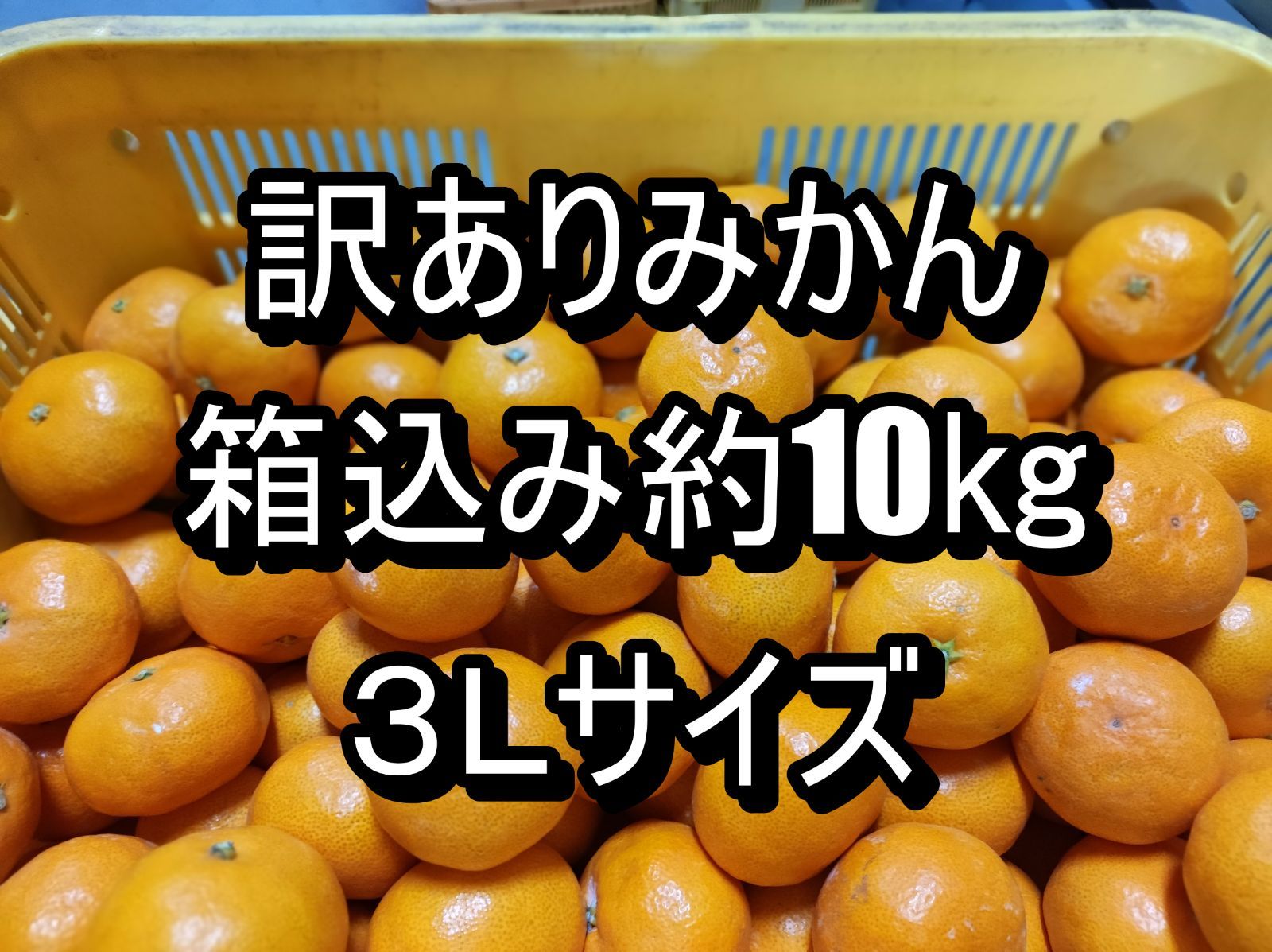 訳ありみかん 箱込み約10kg 3Lサイズ - メルカリ
