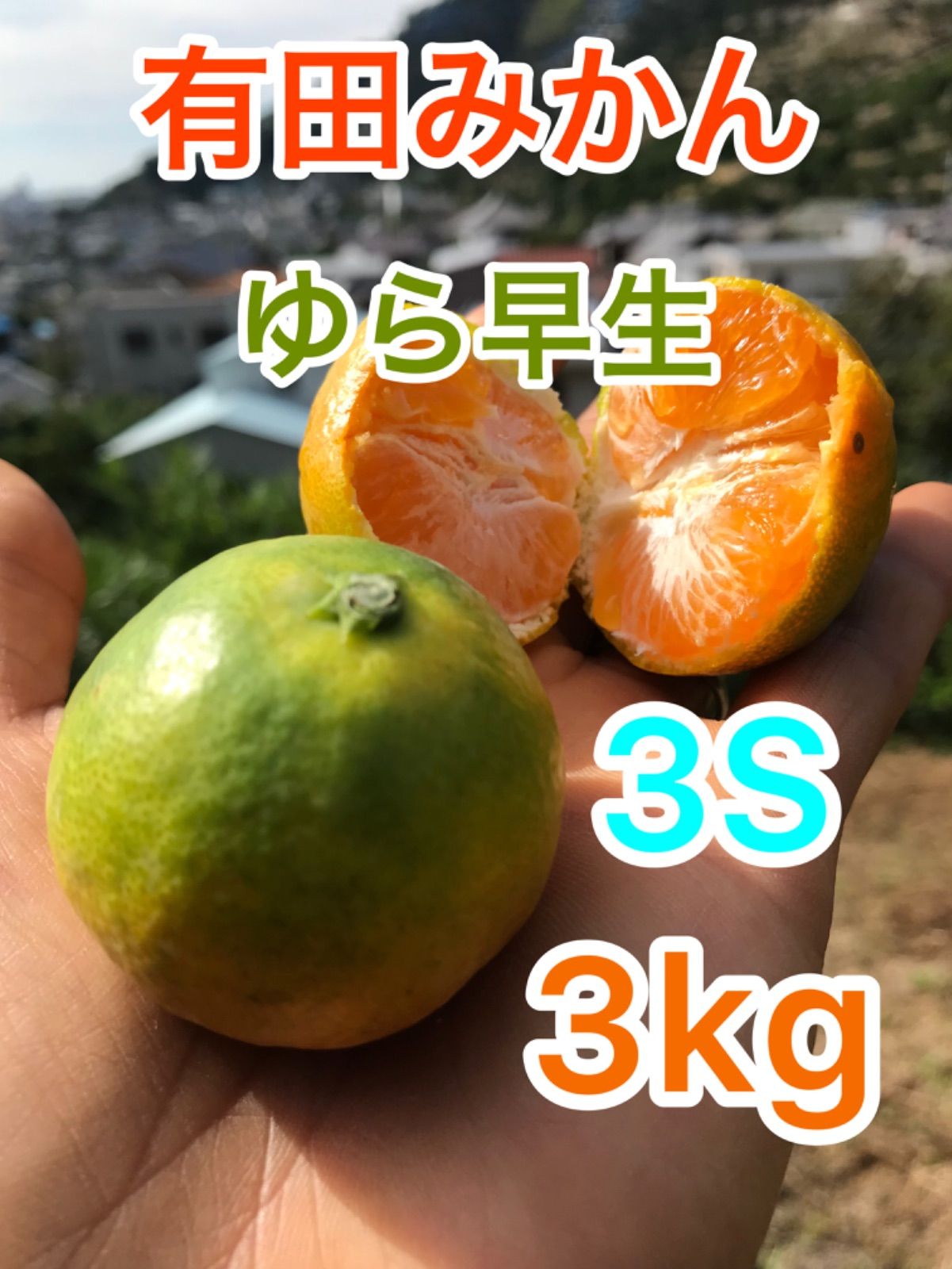 有田みかん ゆら早生 3S 3kg - 山富農園 - メルカリ