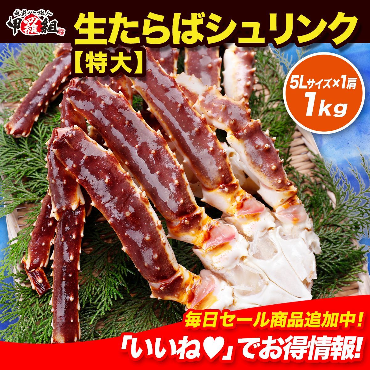 🦀ボイルよりも鮮度抜群♪【特大】生たらばシュリンク1kg（5Lサイズ×1肩）たらば たらばがに タラバ タラバガニ 蟹足 加熱用 シュリンク 【甲羅組】 - 甲羅組🦀 枚数限定クーポン配布中 ...