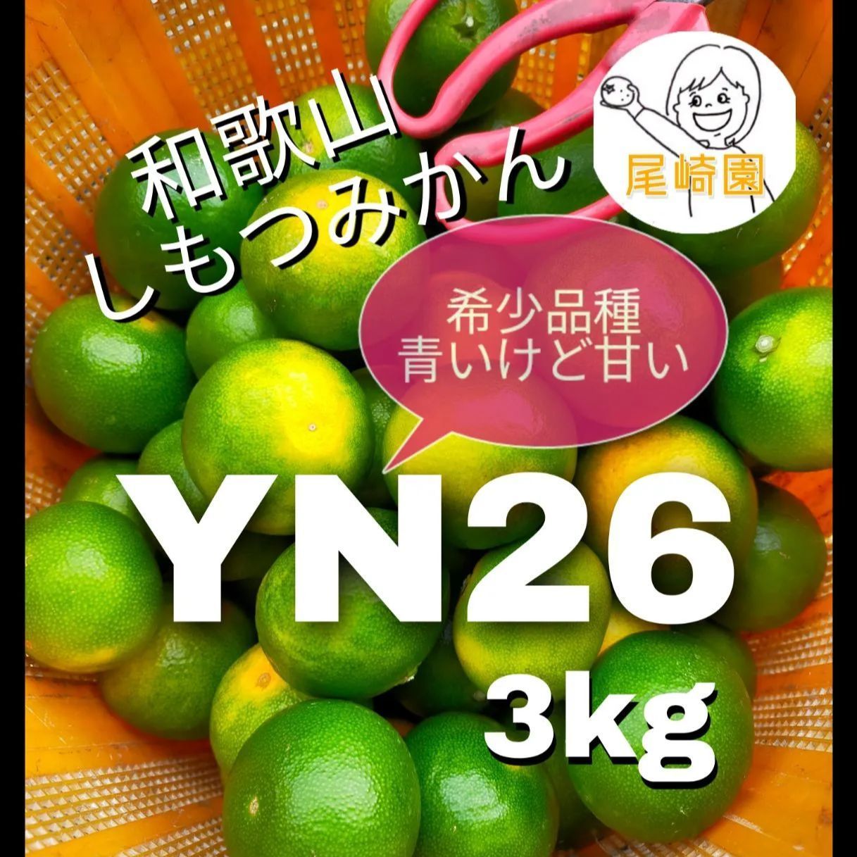 和歌山 しもつみかん YN26（希少品種、青いけど甘い） 3kg - メルカリ
