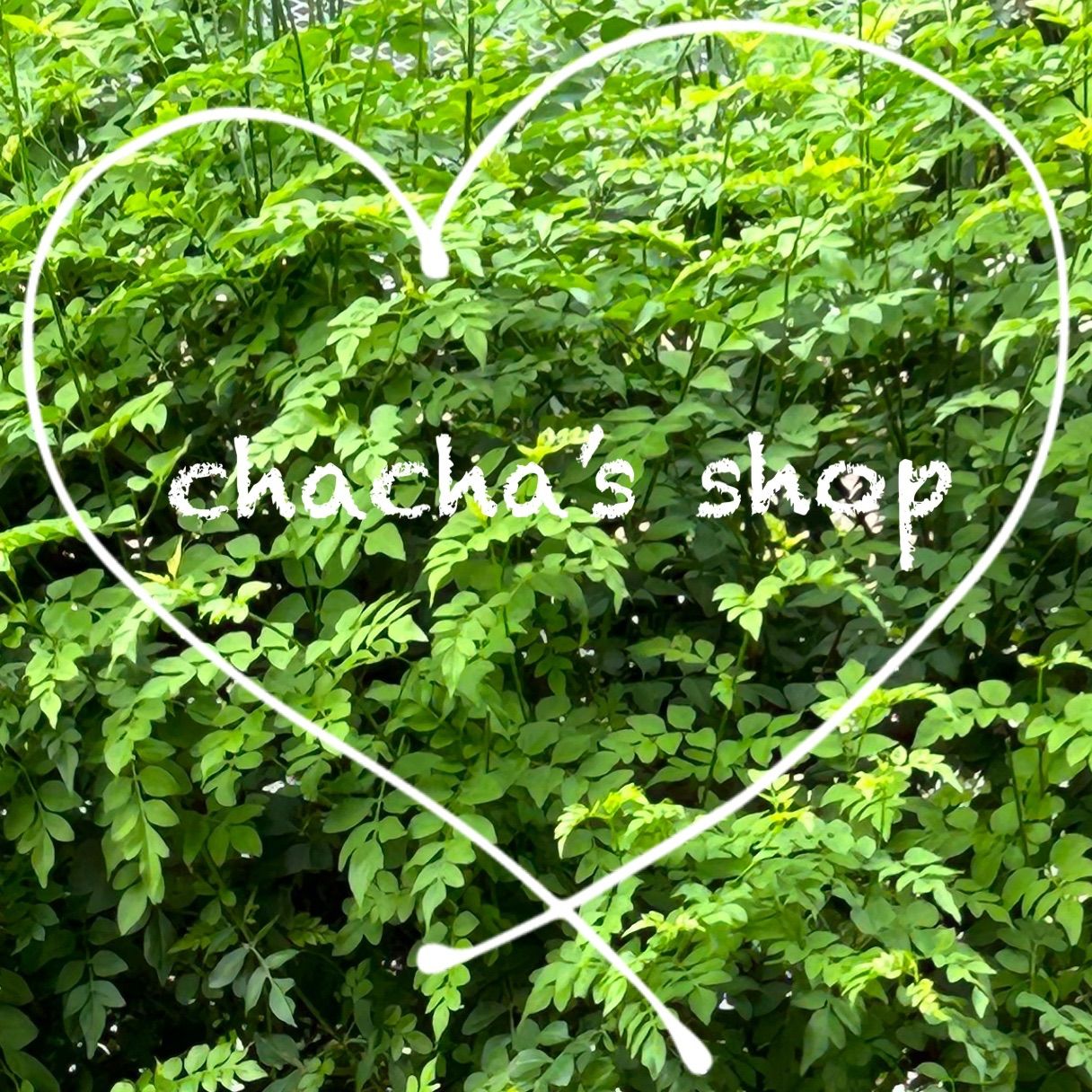 chacha’s shop - メルカリShops