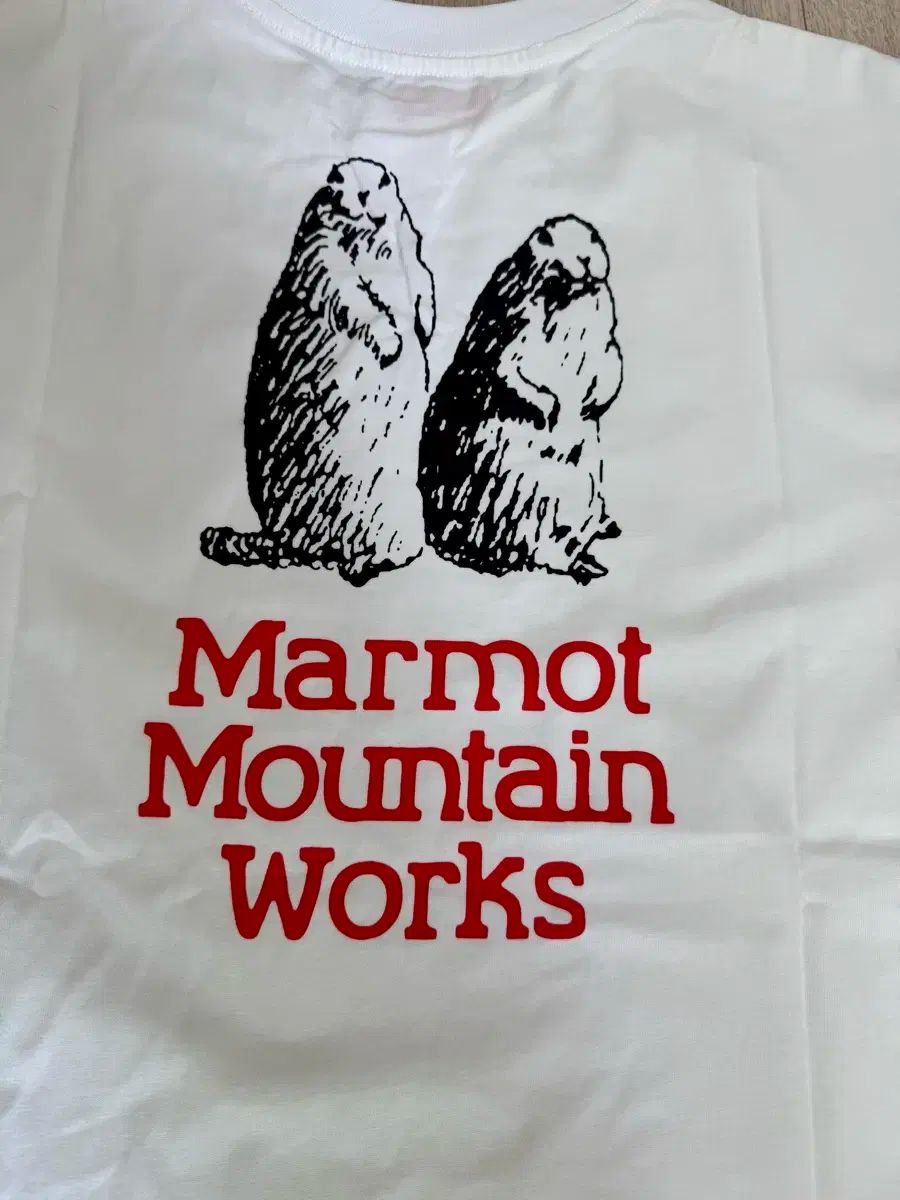 BEAMS x MARMOT BEAMS(ビームス) マーモット プリント 半袖 Tシャツ - メルカリ