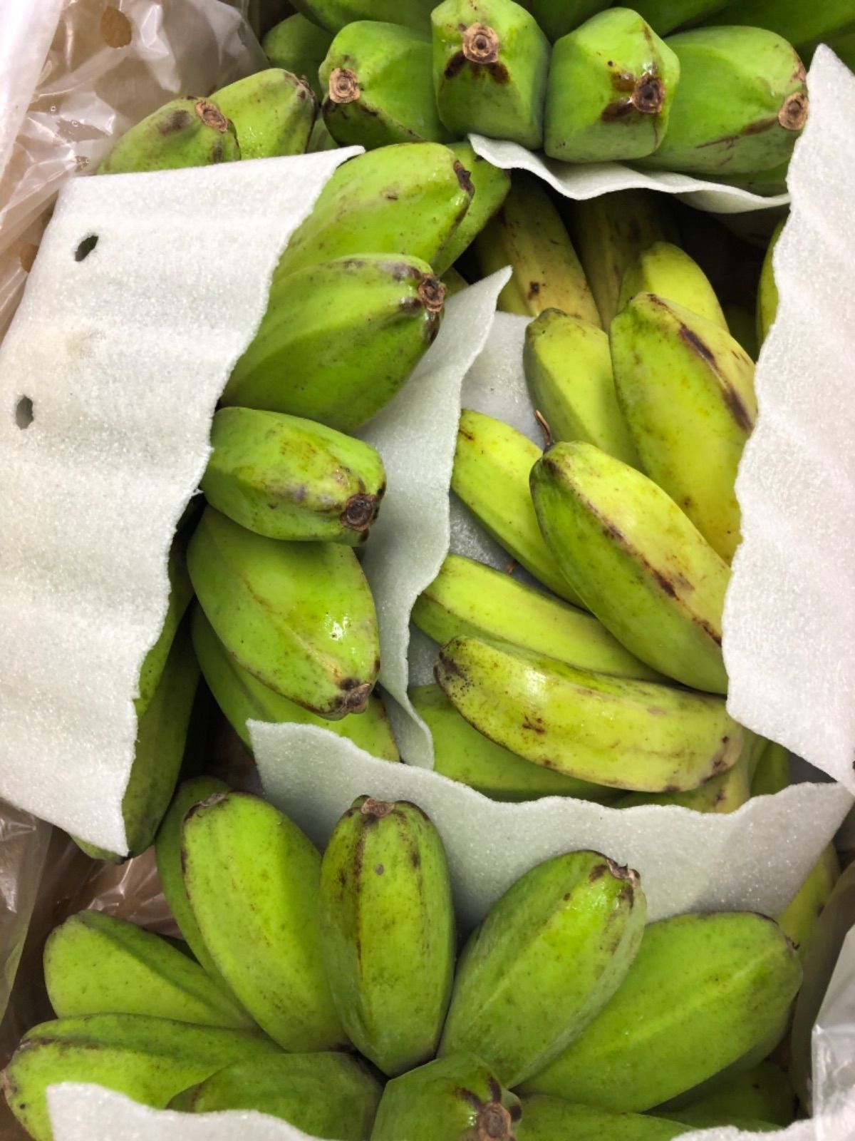 Saba Banana Philippines 1box (4H-5H) - メルカリ