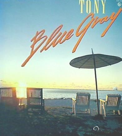 TONY Blue Gray - メルカリ