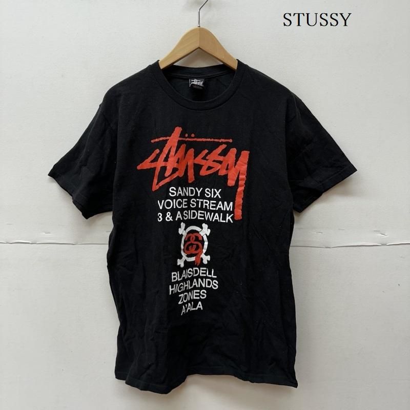 STUSSY IN4MATION Skull ロゴ Tシャツ - メルカリ
