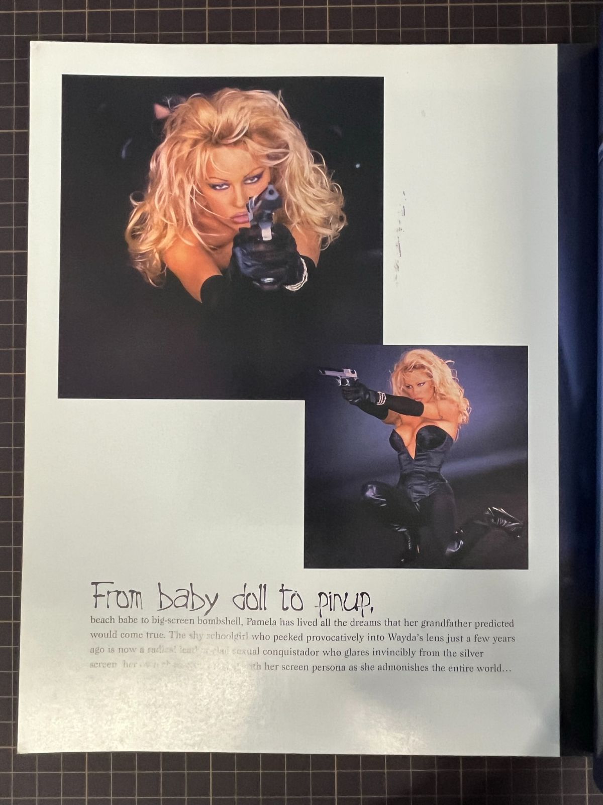 パメラアンダーソン 写真集 洋書グラビア写真集 英語版 Pamela Anderson in Pictures: Photographs by ...