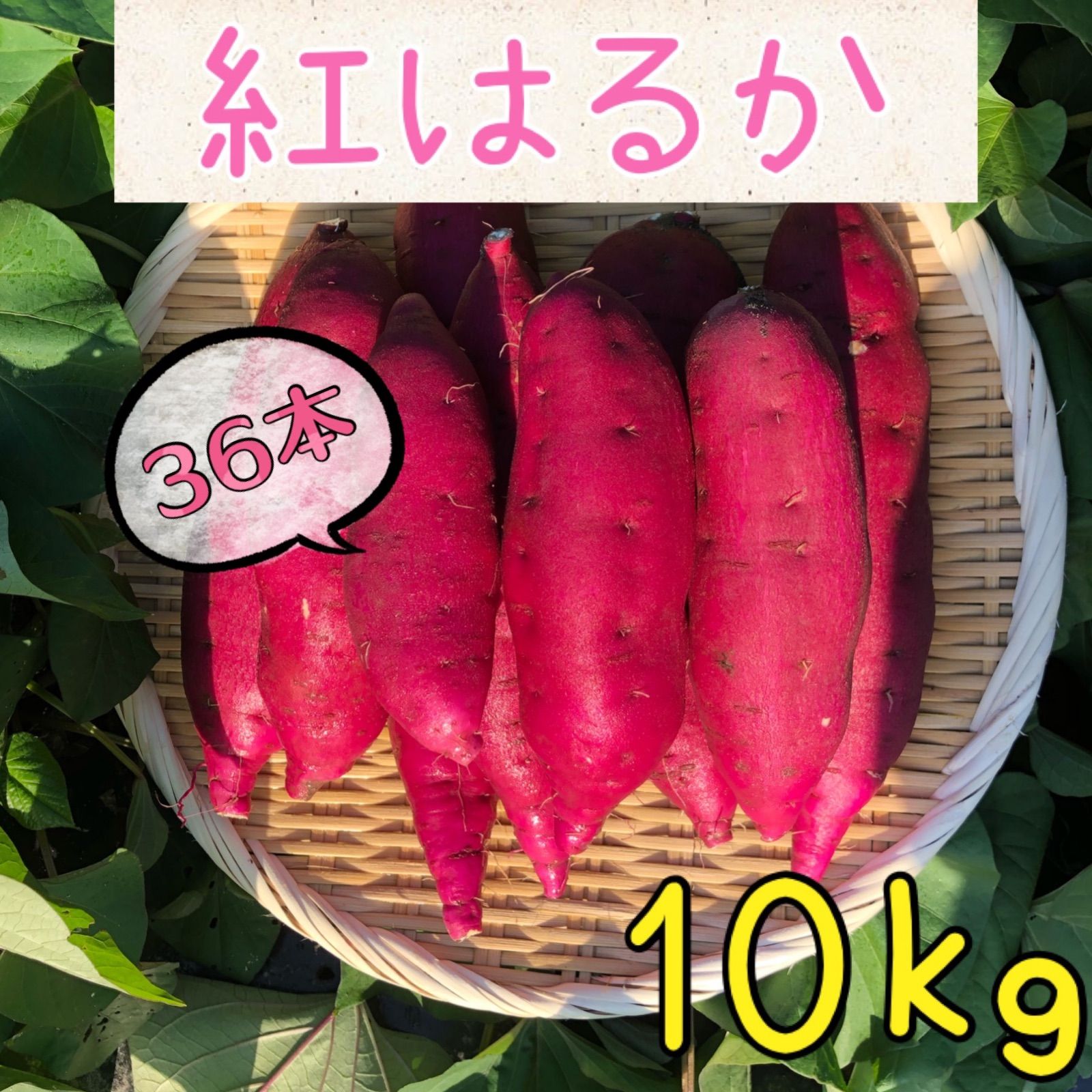 熟成紅はるか 10kg M〜3L 36本前後 サツマイモ- メルカリ