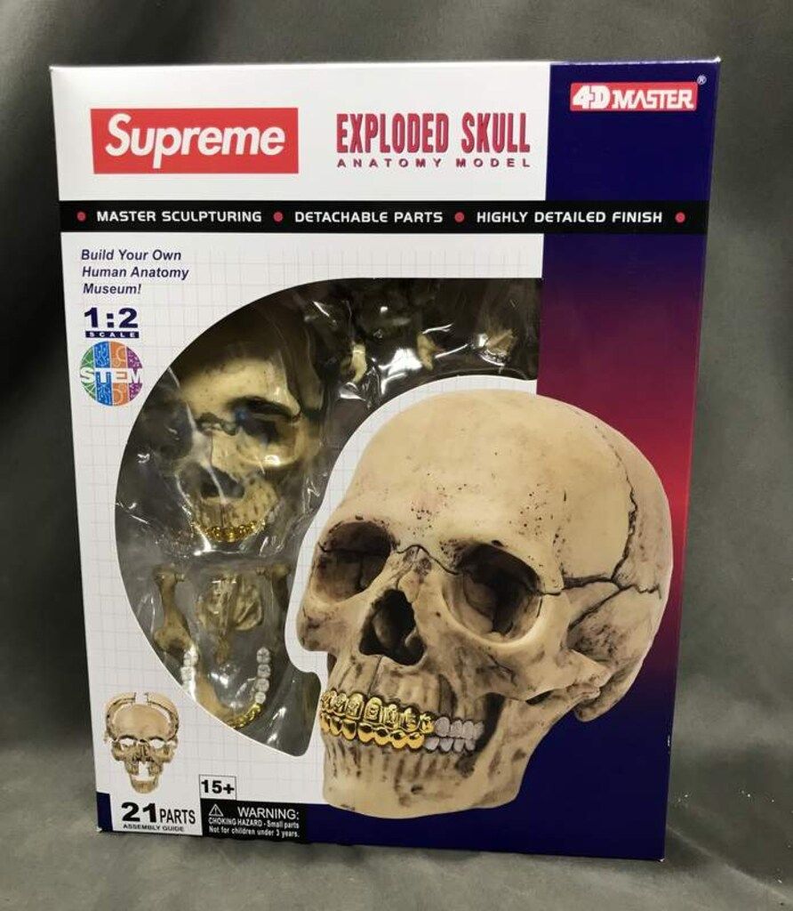 4D MASTER 4D HUMAN ANATOMY MODEL EXPLODED SKULL / Supreme - メルカリ