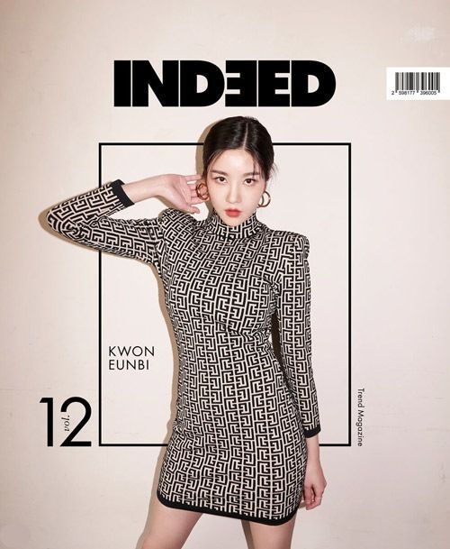 [新品] 韓国雑誌 INDEED 12号 (クォン・ウンビ表紙/DRIPPIN キム・チェウォン記事) - メルカリ