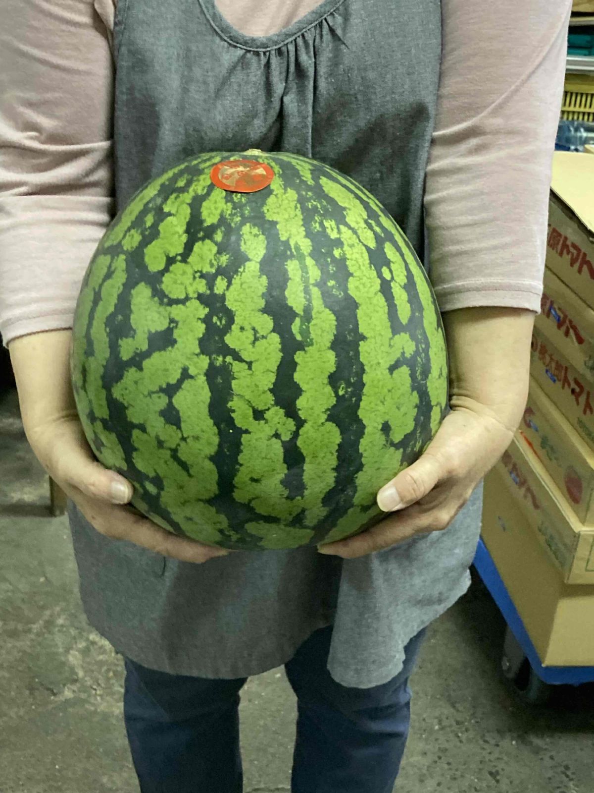 山形 尾花沢の スイカ 5L（10kg～11kg）1玉 どでかいよ！！ クール便にて送ります。 着いたらすぐに冷えたスイカが食べられます！ - メルカリ