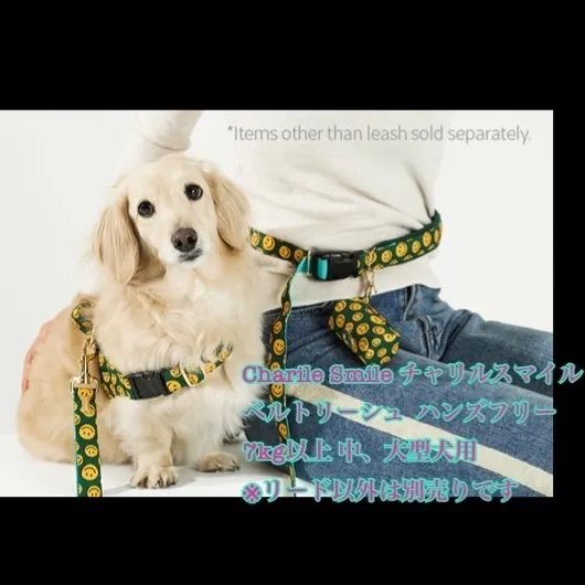 Charile Smile チャリルスマイル ベルトリードライン 中・大型犬 ハンズフリー対応 - メルカリ