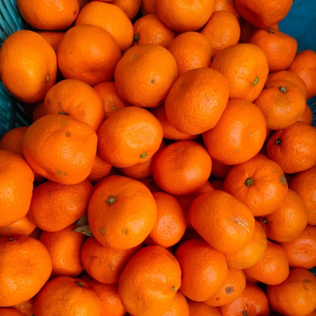 訳あり、新堂みははら、有田みかん小粒、2S~3S.箱込み5 kg、糖度最高 - メルカリ