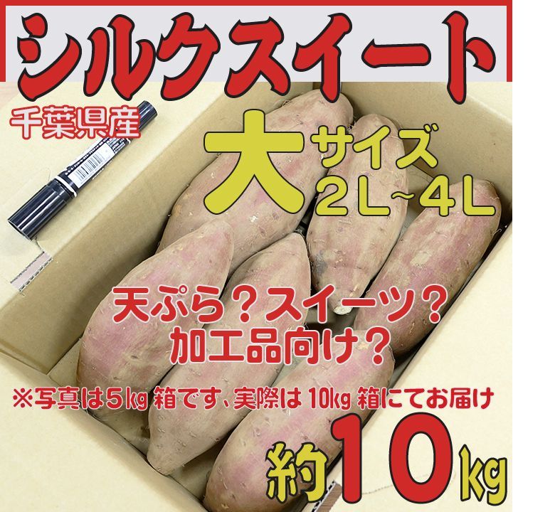 さつまいも 大きい シルクスイート（2L～4L） 10kg【土付き】 - メルカリ