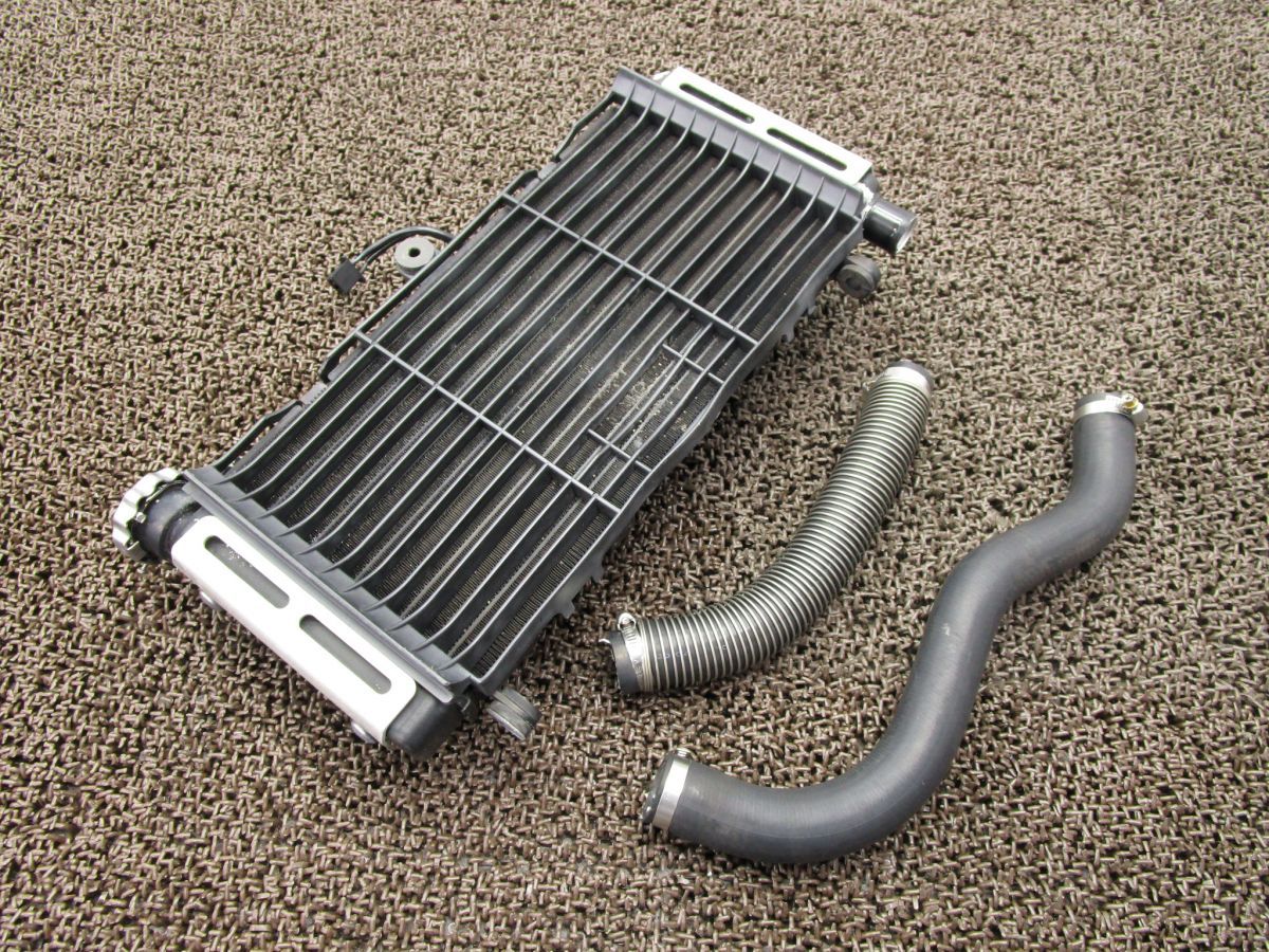 ホーネット600S ラジエター Y492！PC34 ホンダ 【 PC25E 】 Hornet キャブ車 動画有 - メルカリ