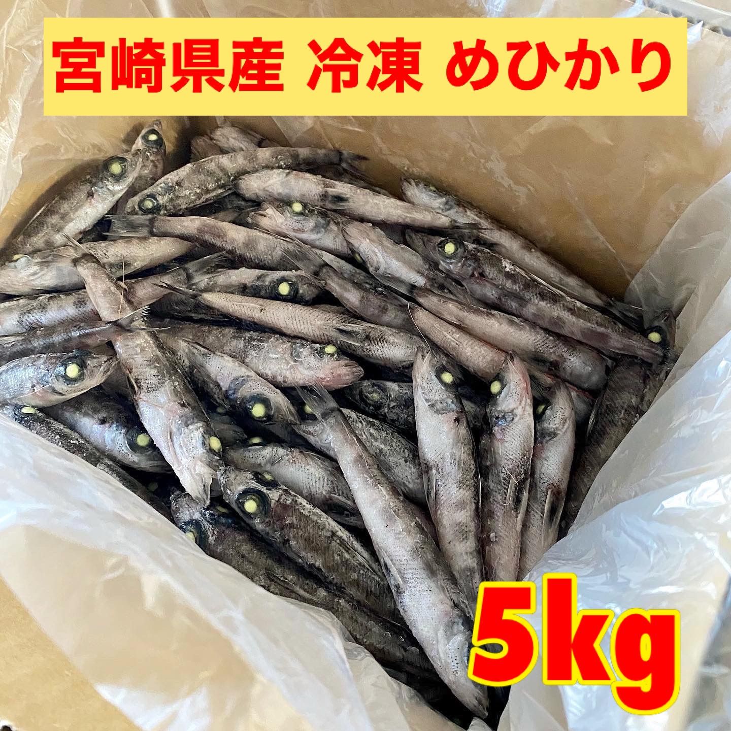 宮崎産 めひかり 冷凍 5kg 有頭 バラ凍結 業務用 メヒカリ Lサイズ - マルナカ海産メルカリ店 - メルカリ