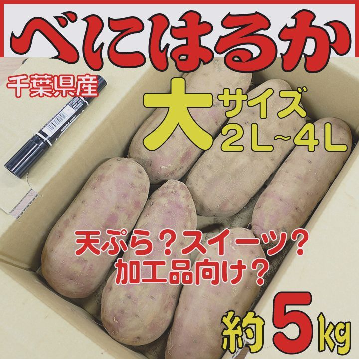 さつまいも 大きい べにはるか（2L～4L） 5kg【土付き】 - メルカリ