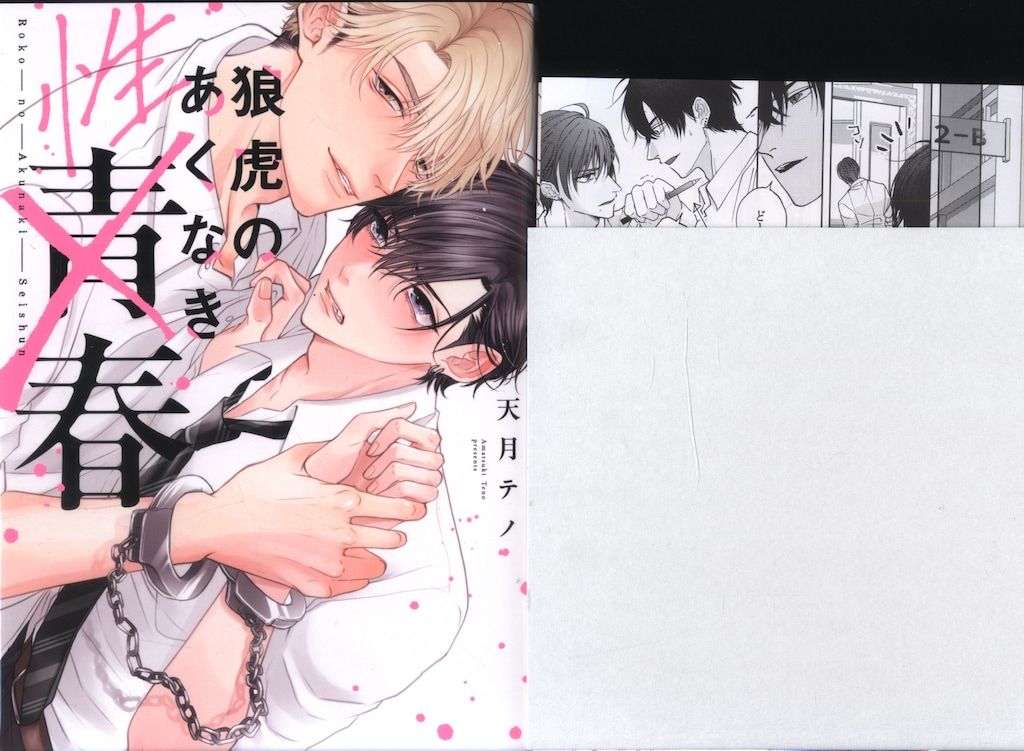 ジーオーティー Bivy comic 天月テノ 狼虎のあくなき青春 コミコミ限定4Pリーフレット付 - メルカリ