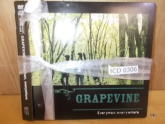 【ALIDA】fCD0306[CD+DVD][OBI][EX-VG]GRAPEVINE/Everyman Everywhere - メルカリ
