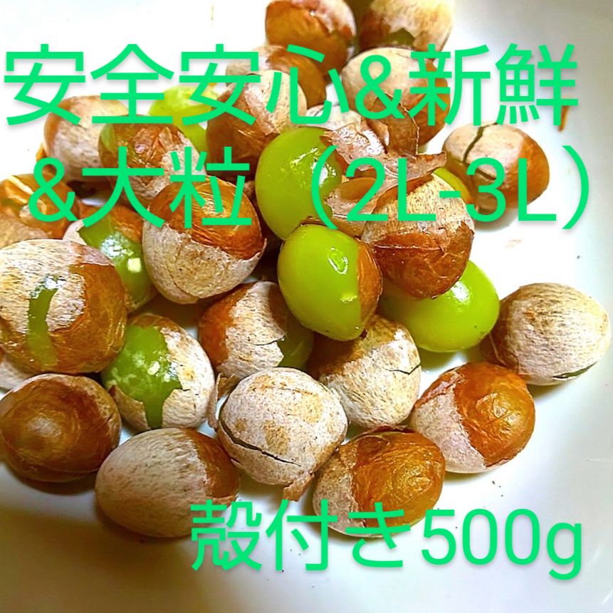 ️ぎんなんや ️追加出荷！安全安心&超新鮮な新潟産大粒銀杏殻付き500g（2L-3L） - ️ぎんなんや（SDGsのお店） ️ - メルカリ