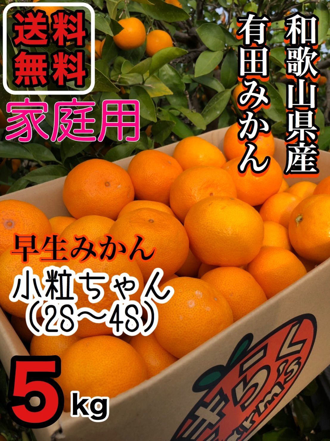 【産地直送】有田みかんサイズ:小粒ちゃん(2s以下)5kg - 喜楽farm’s - メルカリ