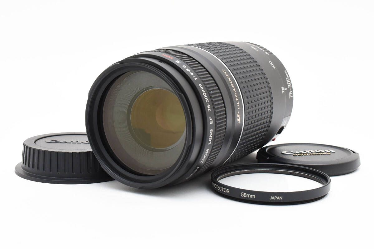 Nikon AF-S DX NIKKOR 18-200mm 辛けれ f/3.5-5.6G ED VR II ニコン Nikon AF-S DX NIKKOR 18-200mm 辛けれ f/3.5-5.6G ED VR II ニコン
