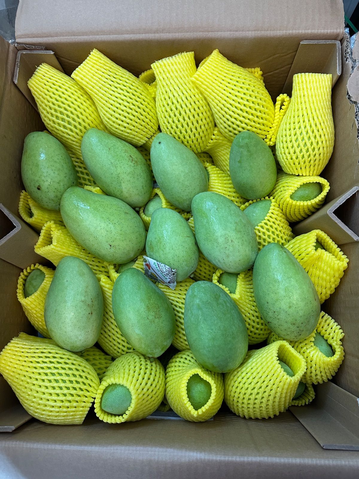 グリーンマンゴー約2kg6-7個(送料込み) - メルカリ