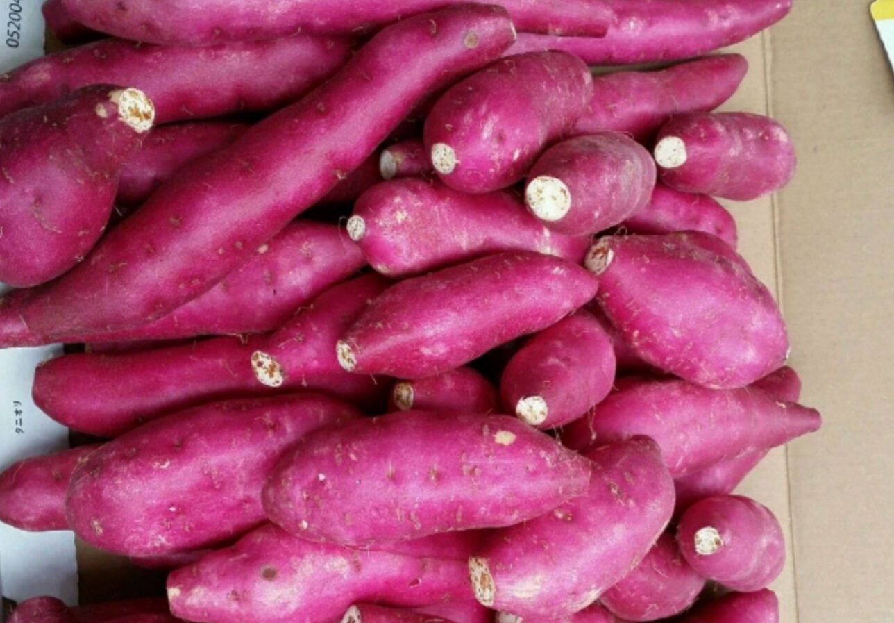 これおいも宮崎紅）新さつまいも箱コミ3kg（3s）50〜60個前後これお芋です。 - メルカリ