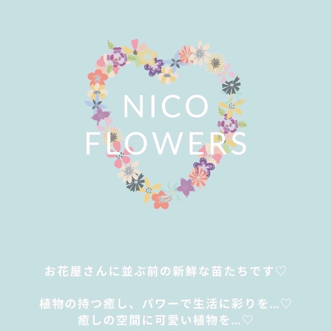 nico flowers - メルカリShops