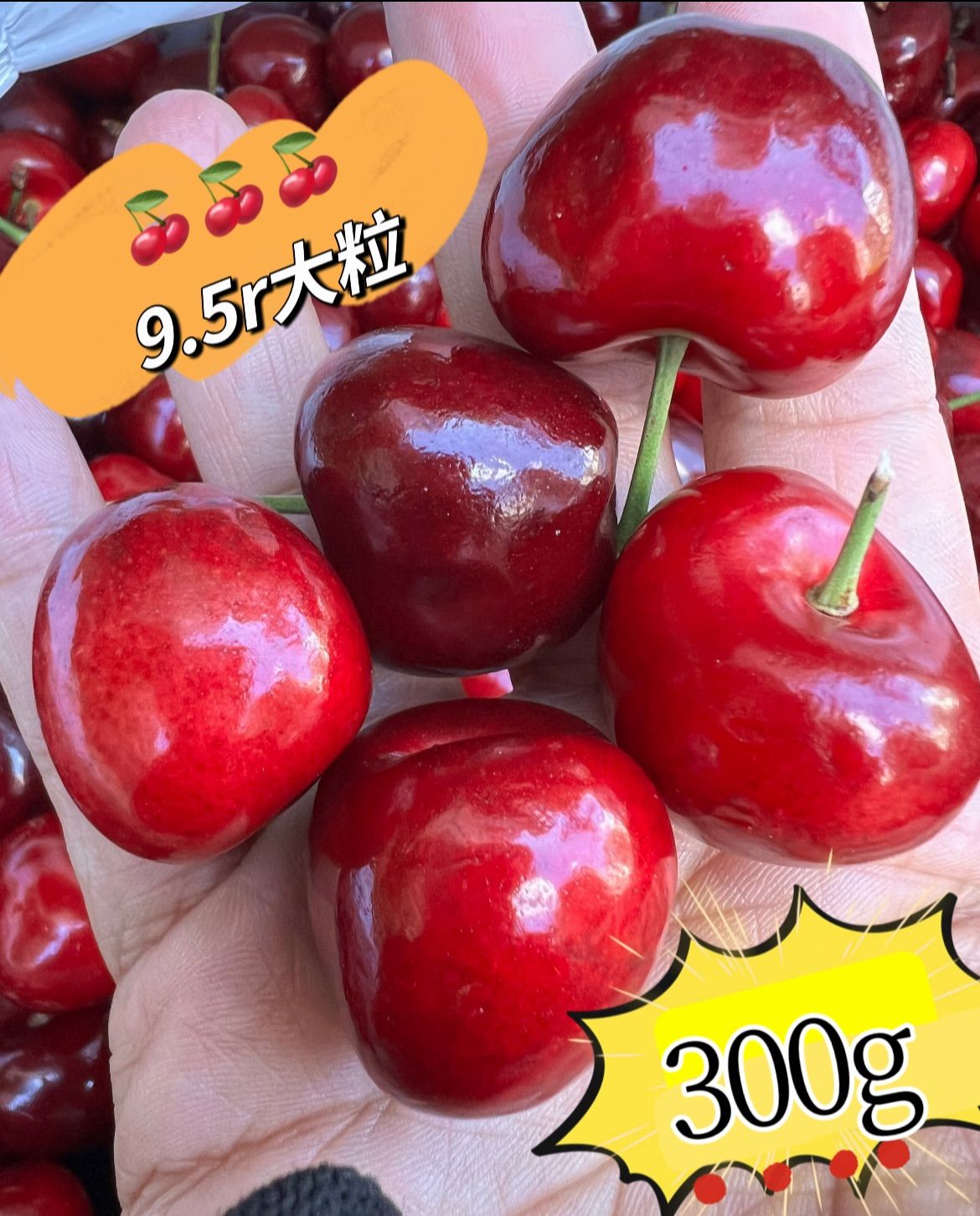 9.5R超大粒 ️10セット限定特価 ️常温便 ️ポスト投函 ️アメリカンチェリー300g ️ 9.5row 大粒サクランボ American Premium Cherries 美國車厘子 櫻 ...