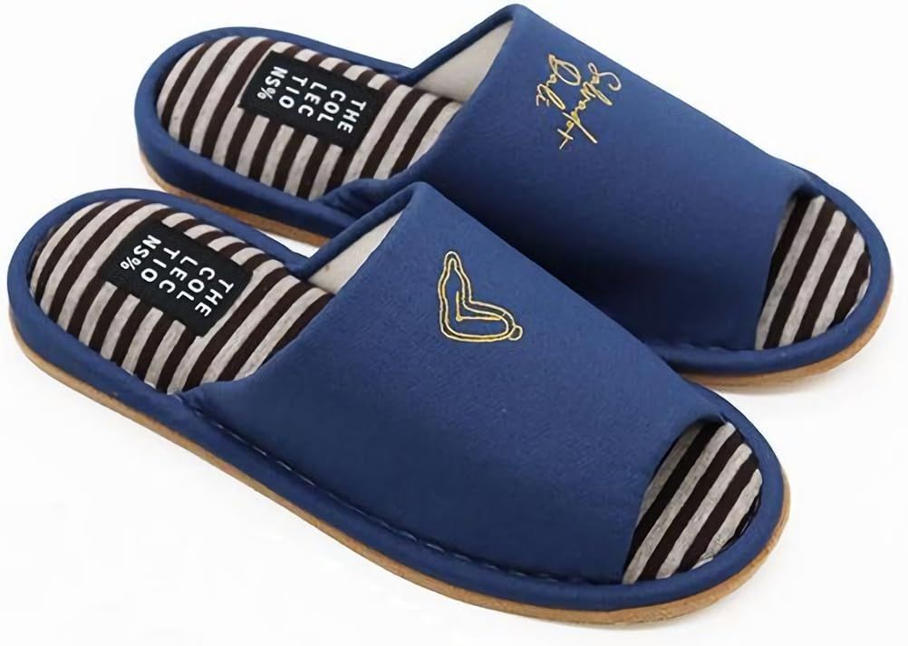 aspersio アスペルシオ 世界の名画 絵画シリーズ アート カワイイ 海外 カラフル 室内スリッパ フェルト底 - シンセイジンショップ ...