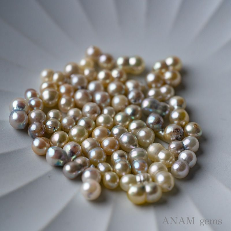 【レア】あこやパール 双子ルース あこや真珠 (10粒) - ANAM gems（アナムジェムズ） - メルカリ