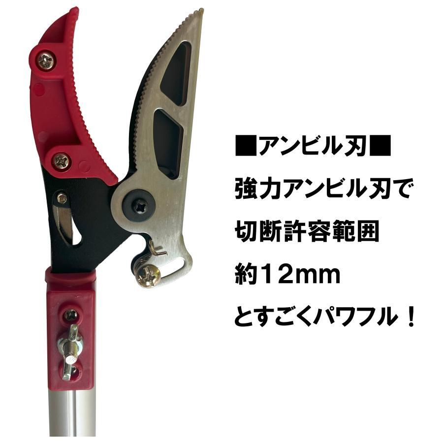 ちょうどいい2m 超軽量620g 鋸刃付き 大進 高枝切りバサミ たかえだきりばさみ 剪定鋏 太い枝 キャッチ機能 ノコギリ付き高枝切りバサミ - メルカリ