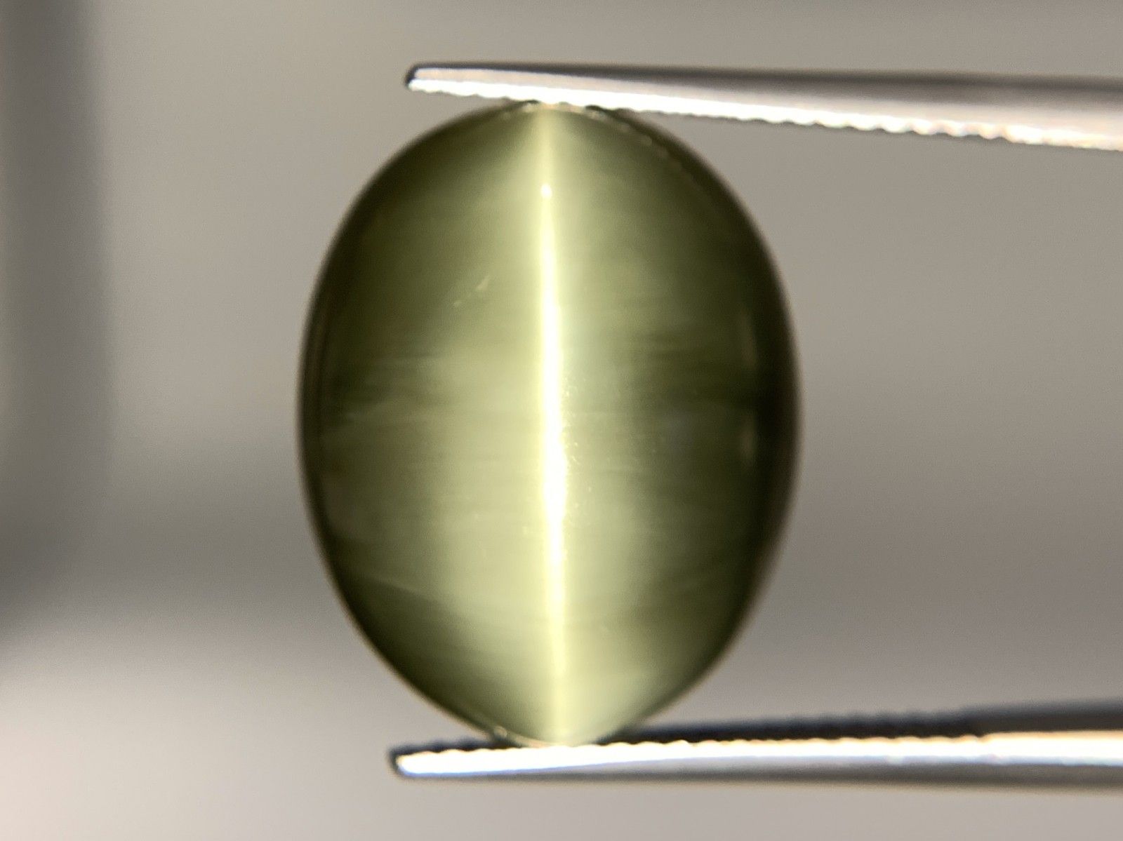 ネフライトキャッツアイ 12.785ct 宝石ソーティング付き 18.5 ネフライトキャッツアイ 12.785ct 宝石ソーティング付き 18.5