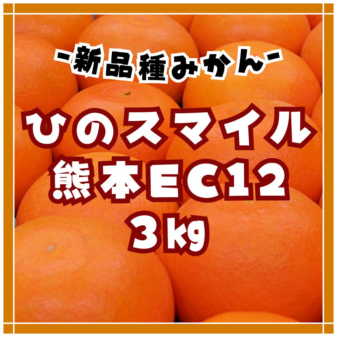 売り切れました。ひのスマイル 熊本EC12 新品種 熊本みかん3kg 1アカウント1つまでの限定販売 - メルカリ